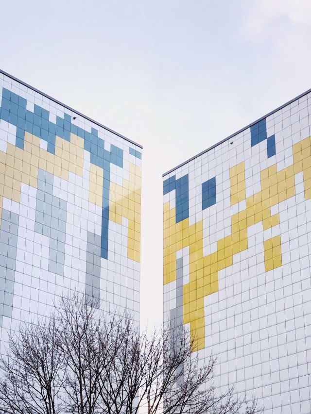 What Is the Difference between Pixels and Vector? | ExpoCart Blog